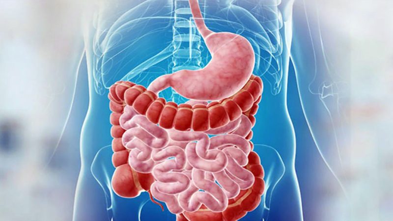 Gastroenterology & Hepatology – Medipark Hospital